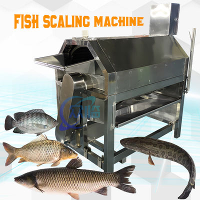 ISO 220V Commercial Fish Scaler Machine , Stainless Steel Fish Gut ...