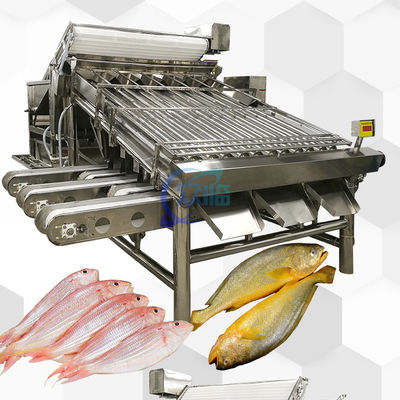 Fully Automatic Fish Weight Sorting Machine Food Conveyor Weighing Scale