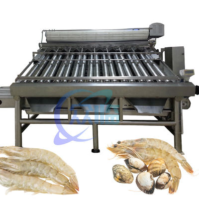 380V 50Hz Seafood Sorting Machine , Multiscene Shrimp Sizing Machine