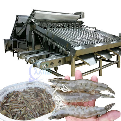 380V 50Hz Seafood Sorting Machine , Multiscene Shrimp Sizing Machine