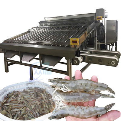 380V 50Hz Seafood Sorting Machine , Multiscene Shrimp Sizing Machine