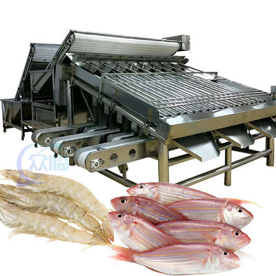 Fully Automatic Fish Weight Sorting Machine Food Conveyor Weighing Scale