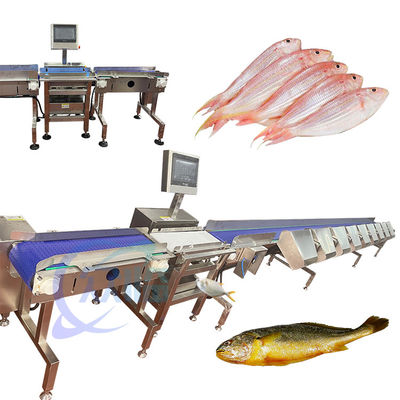 High Precise Live Fish Sorting Machine Live Fish Sorting Equipment ...
