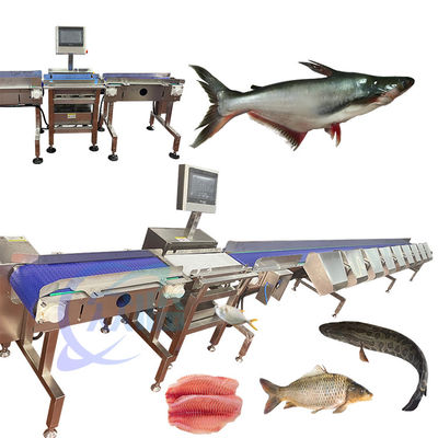 Fully Automatic Fish Weight Sorting Machine Food Conveyor Weighing Scale