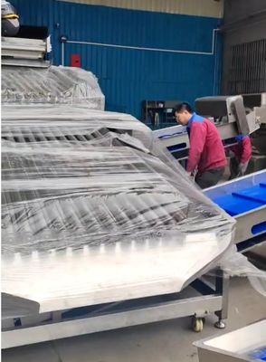 Fully Automatic Fish Weight Sorting Machine Food Conveyor Weighing Scale