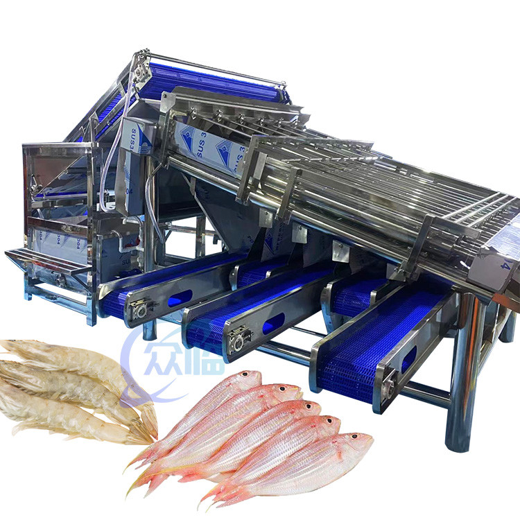 Automatic Shrimp Grading Machine 4.9KW Stable For Vannamei Sorting