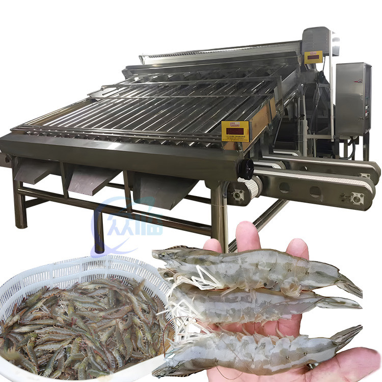SUS304 Practical Shrimp Sorting Machine , Anti Corrosion Prawn Grader