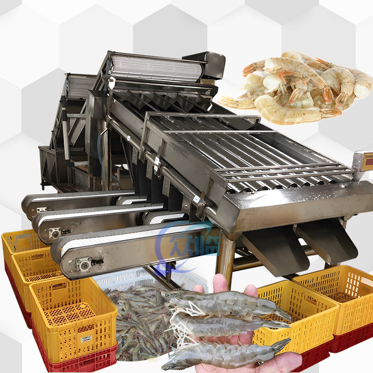4.9KW SUS304 Shrimp Grading Machine Automatic For Fish Size Sorting
