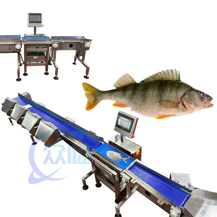121pcs/min Fish Weight Grader Fish Weighing And Sorting Machine For ...