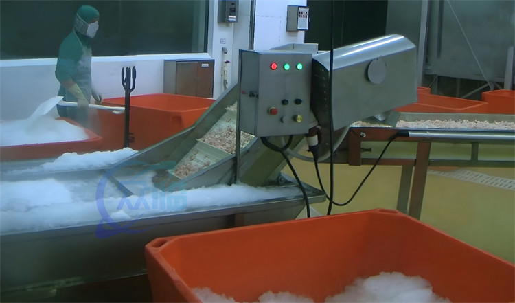 Seafood processing plant frozen fish and shrimp washing water cycle ...