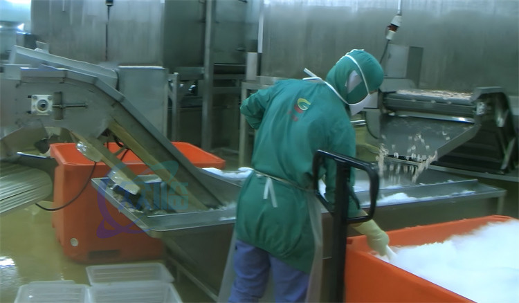 Seafood processing plant frozen fish and shrimp washing water cycle ...