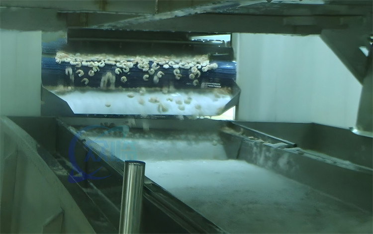 Seafood Processing Plant Frozen Fish And Shrimp Washing Water Cycle ...