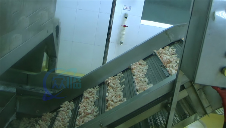 Seafood Processing Plant Frozen Fish And Shrimp Washing Water Cycle ...