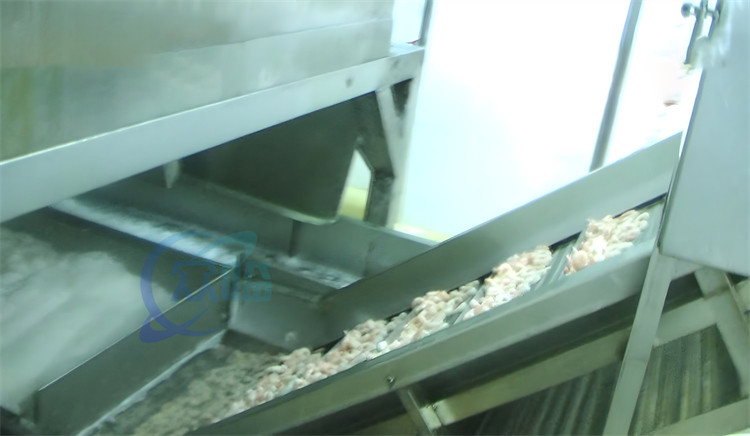 Seafood Processing Plant Frozen Fish And Shrimp Washing Water Cycle ...