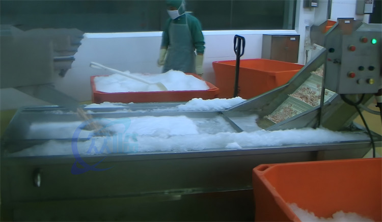 Seafood Processing Plant Frozen Fish And Shrimp Washing Water Cycle ...