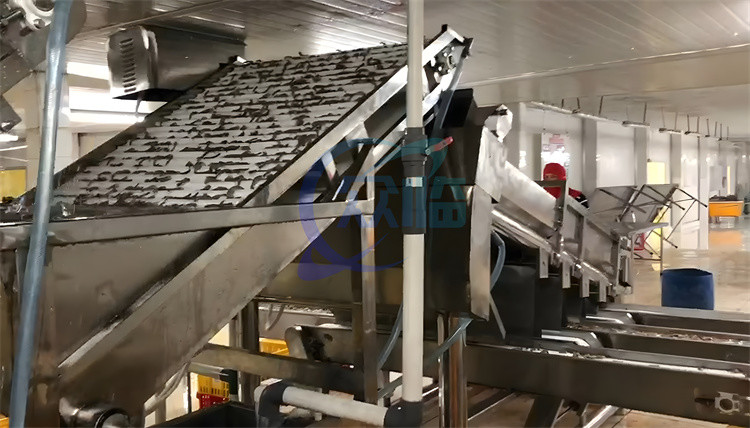 Seafood process equipment shrimp washing grading machine Automatic ...