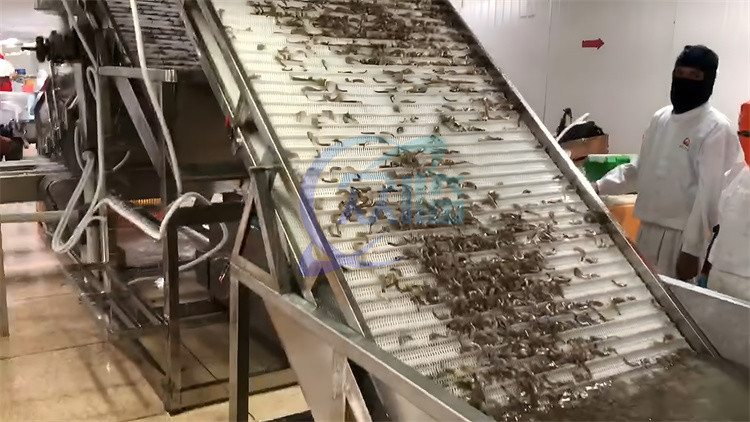 Farmed shrimp harvest rapid sorting and size specification machine ...