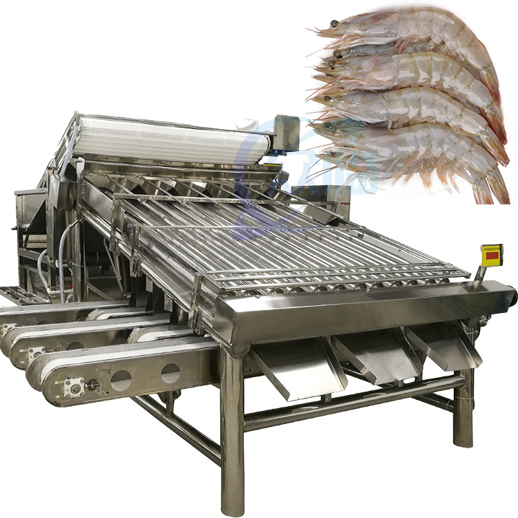 Automatic shrimp sorting machine for shrimp peeling fresh prawn washing ...