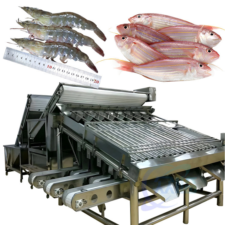 Automatic shrimp sorting machine for shrimp peeling fresh prawn washing ...