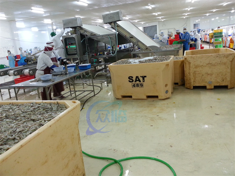 Automatic shrimp sorting machine for shrimp peeling fresh prawn washing ...