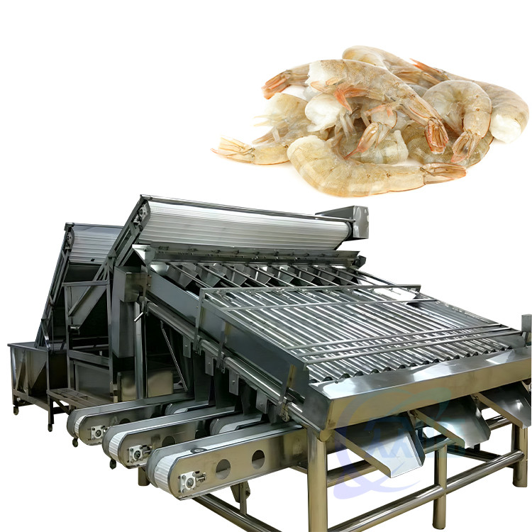 Stainless steel shrimp processing and sorting machine Seafood sorting ...