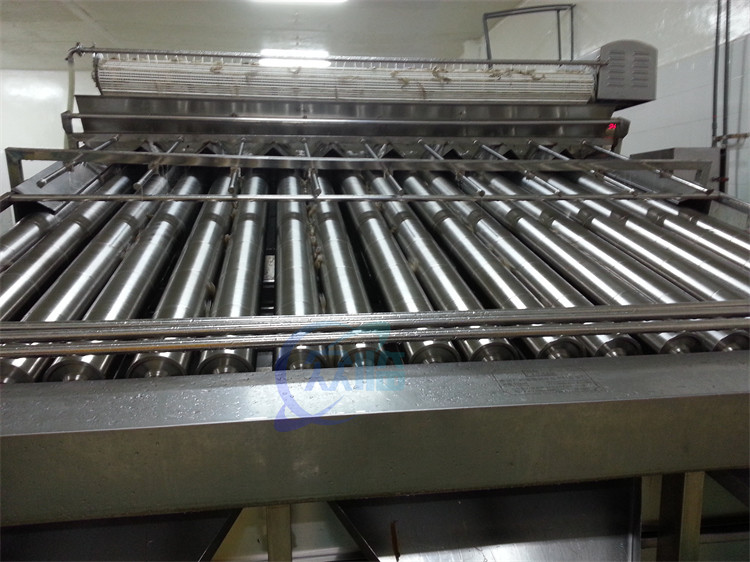 Stainless steel shrimp processing and sorting machine Seafood sorting ...