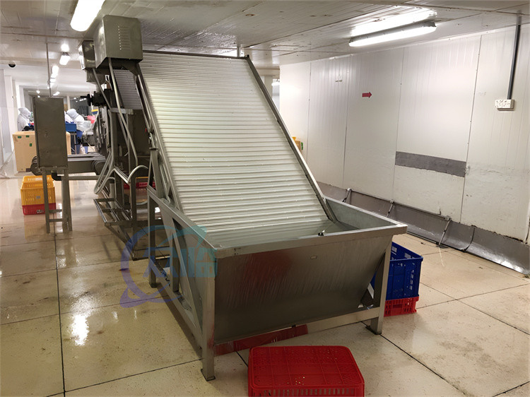 Food grade stainless steel shrimp drum grader small fish sorting machine