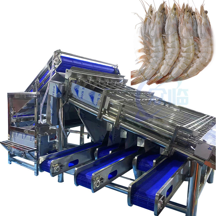 Fully automatic multi-functional fish and shrimp sorting and grading ...