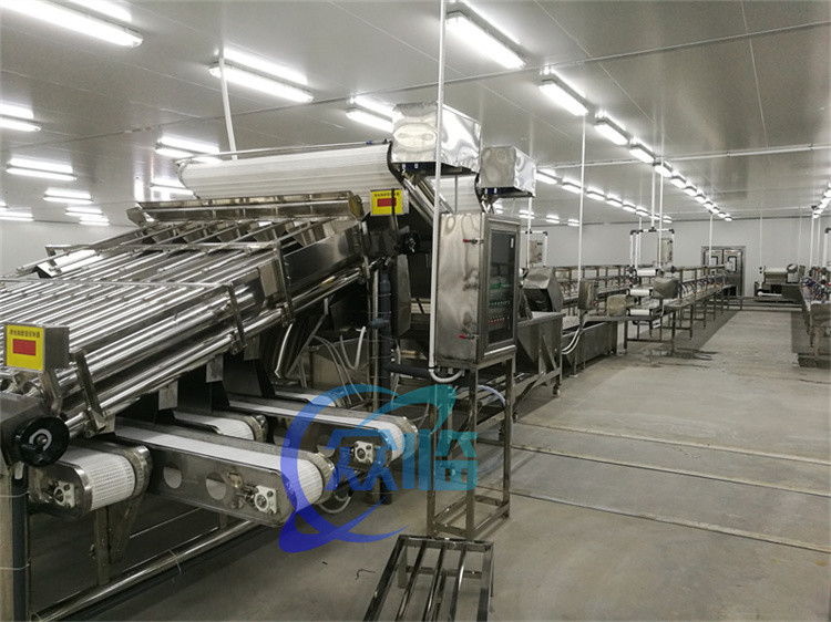 Fully automatic multi-functional fish and shrimp sorting and grading ...