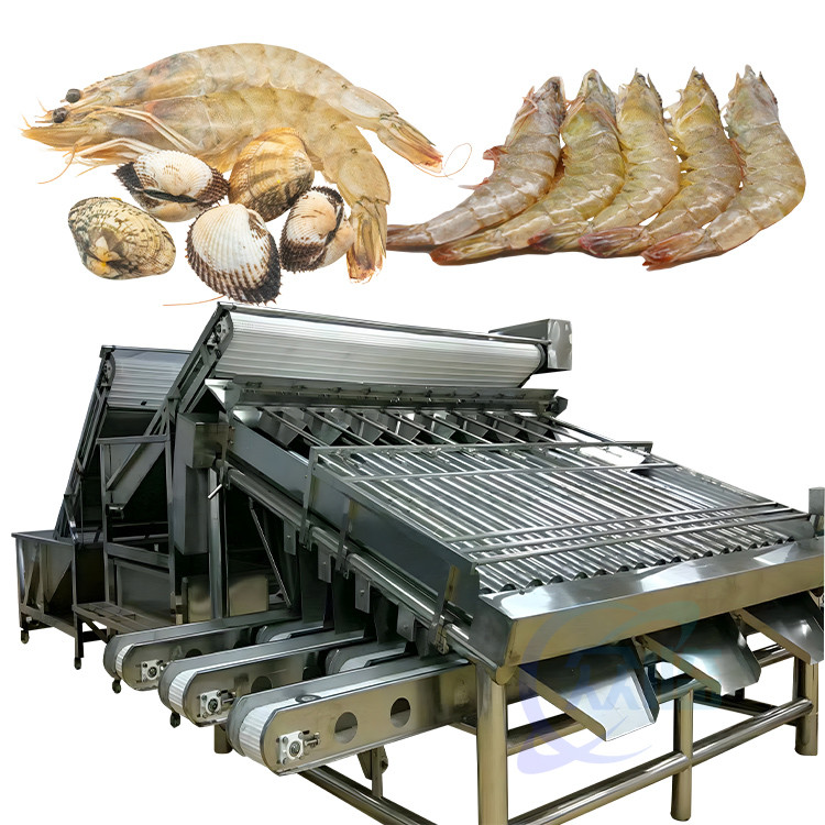 Automated Food Processing Line Fish Sorting Machine Shrimp Cleaning And ...