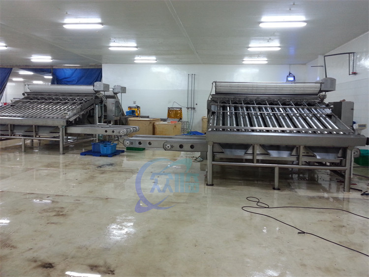 Automated Food Processing Line Fish Sorting Machine Shrimp Cleaning And ...