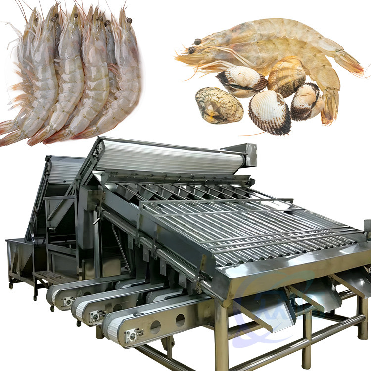 Shrimp size sorting machine Fish scale cleaning and processing line ...