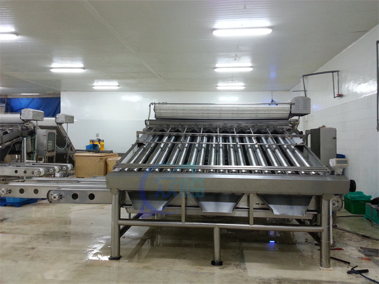 Shrimp grading machine, shrimp cleaning and sorting machine, shrimp ...