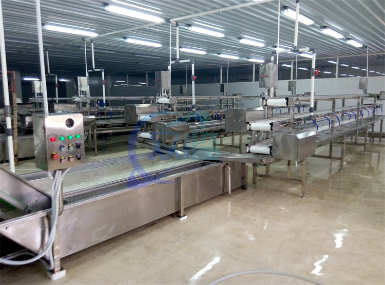 Automatic Seafood Fish High Pressure Bubble Washing Machine Shrimp ...