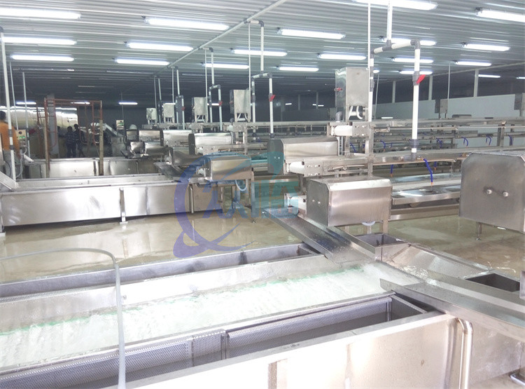 Automatic Seafood Fish High Pressure Bubble Washing Machine Shrimp ...