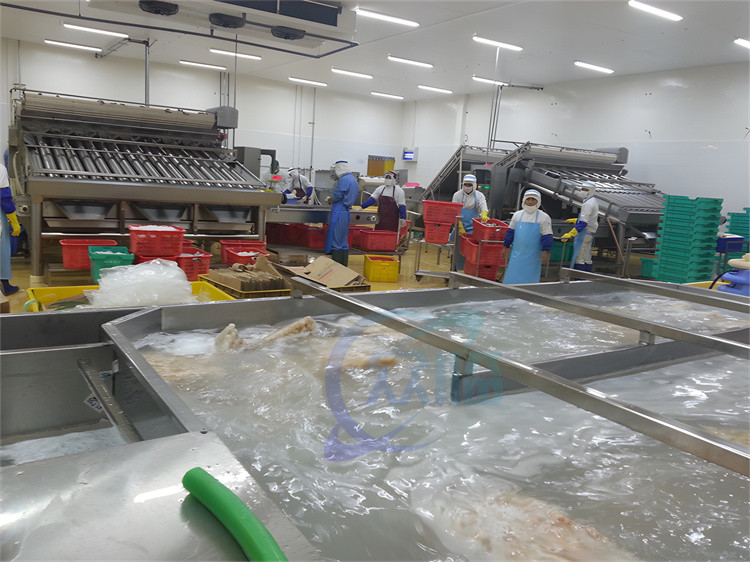 Seafood processing plant frozen fish and shrimp washing water cycle ...