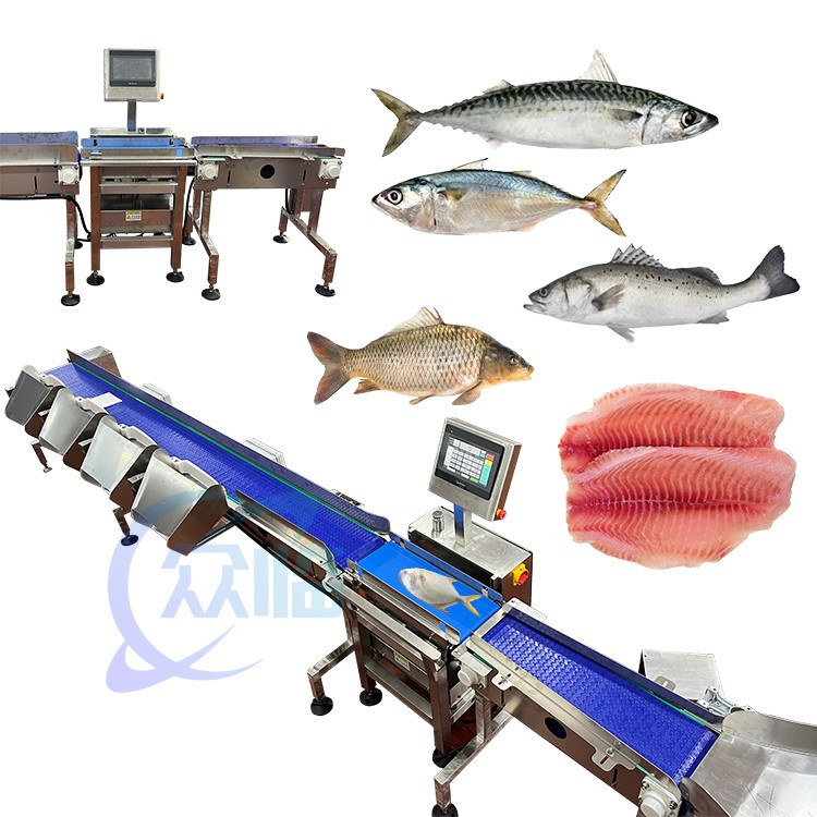 High Quality Fish Sorting Machine Fish Sizing Machine Power 1.3KW Focus ...