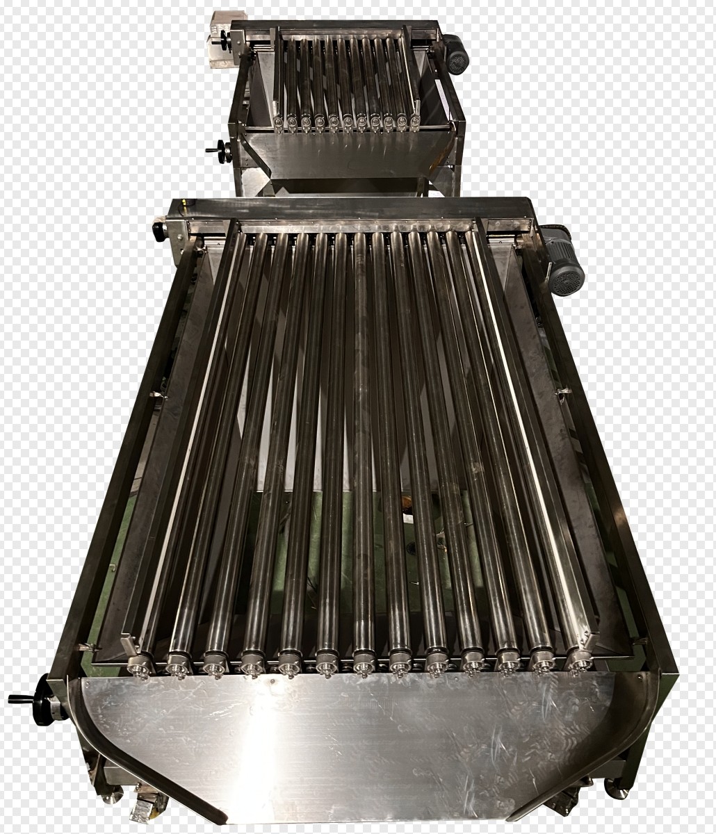 High Speed Ocean Fish Automatic Sizing Machine And Sizing Small Fish ...