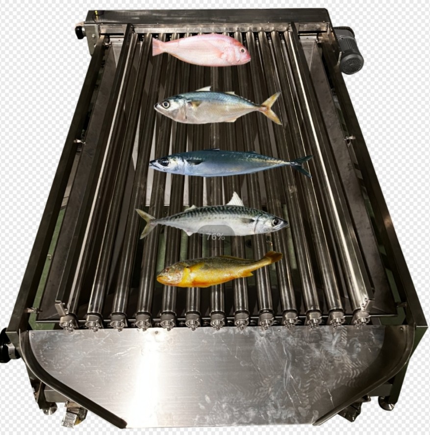 Capacity 5-10T/H Fish Automatic Sorting Machine, Sizing Small Fish And ...
