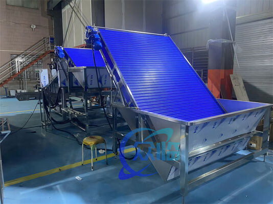 Fully Automatic Multi-functional Fish and Shrimp Sorting and Grading ...
