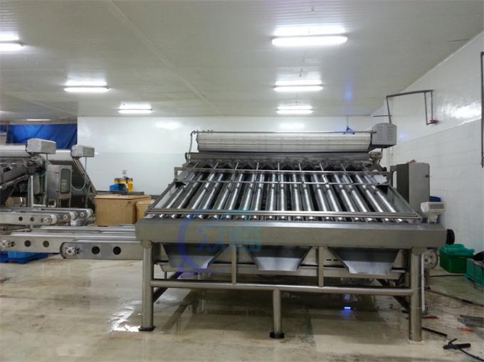 1500KG Fish Shrimp Grader Machine Multipurpose For Industrial