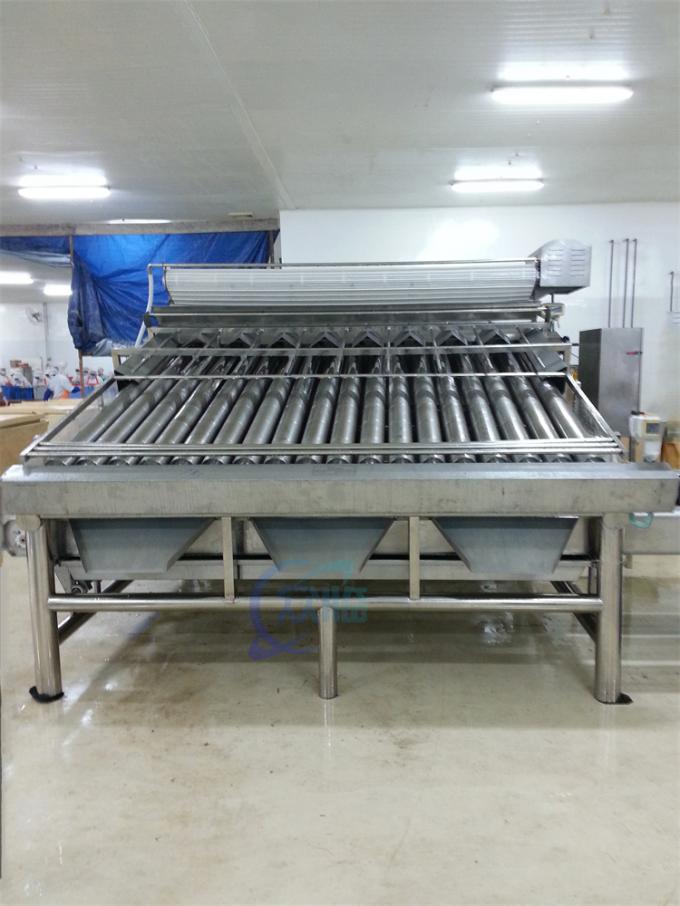 Multifunctional Shrimp Grading Machine Durable Stainless Steel