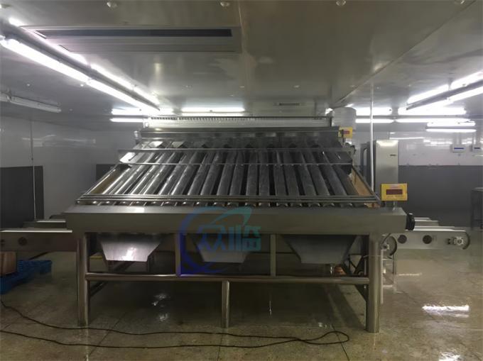 4.9KW Practical Fish Grading Machine , Automatic Fish Sorting Equipment